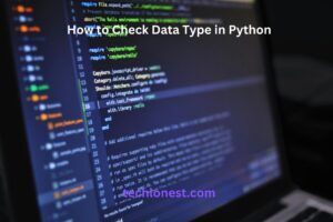 How To Check Data Type In Python Best Methods And Examples 2025